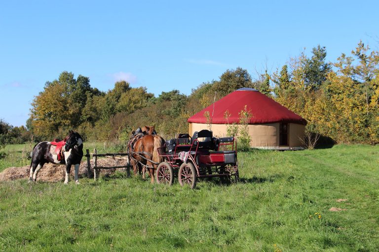 Réglementation et législation sur la yourte : que dit la loi
